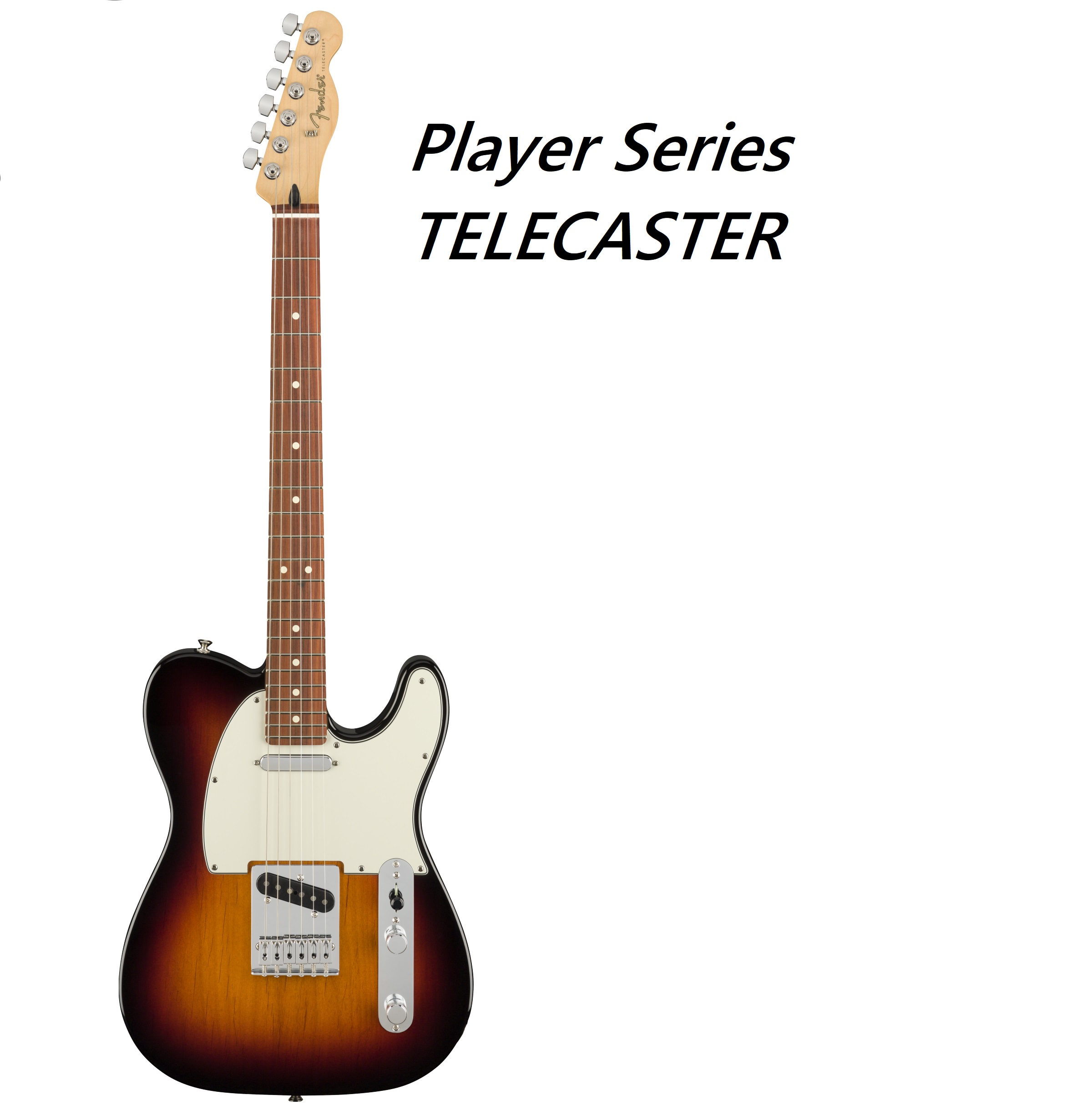 Fender Player series Telecaster – Murphy's Music